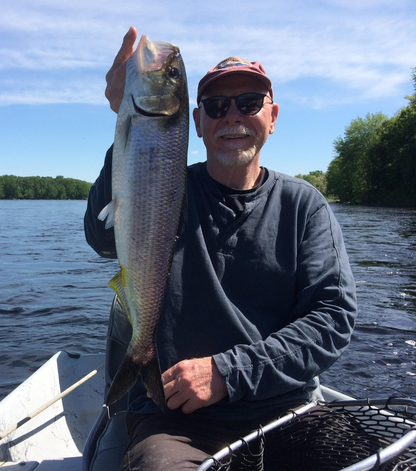 Under-Rated Favorites - Tracewski Fishing Adventures